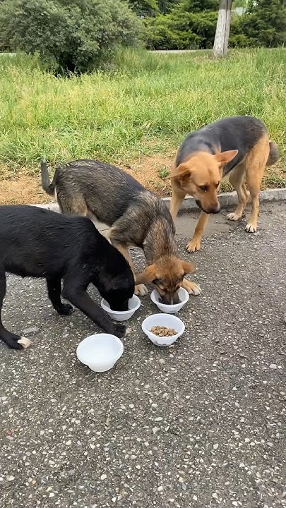 Ты знаешь так хочется жить Youtube