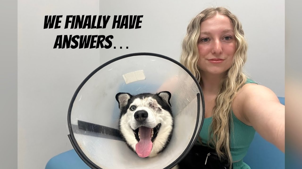 SADIE'S SURGERY & FINALLY GETTING ANSWERS ABOUT HER DIAGNOSIS - YouTube