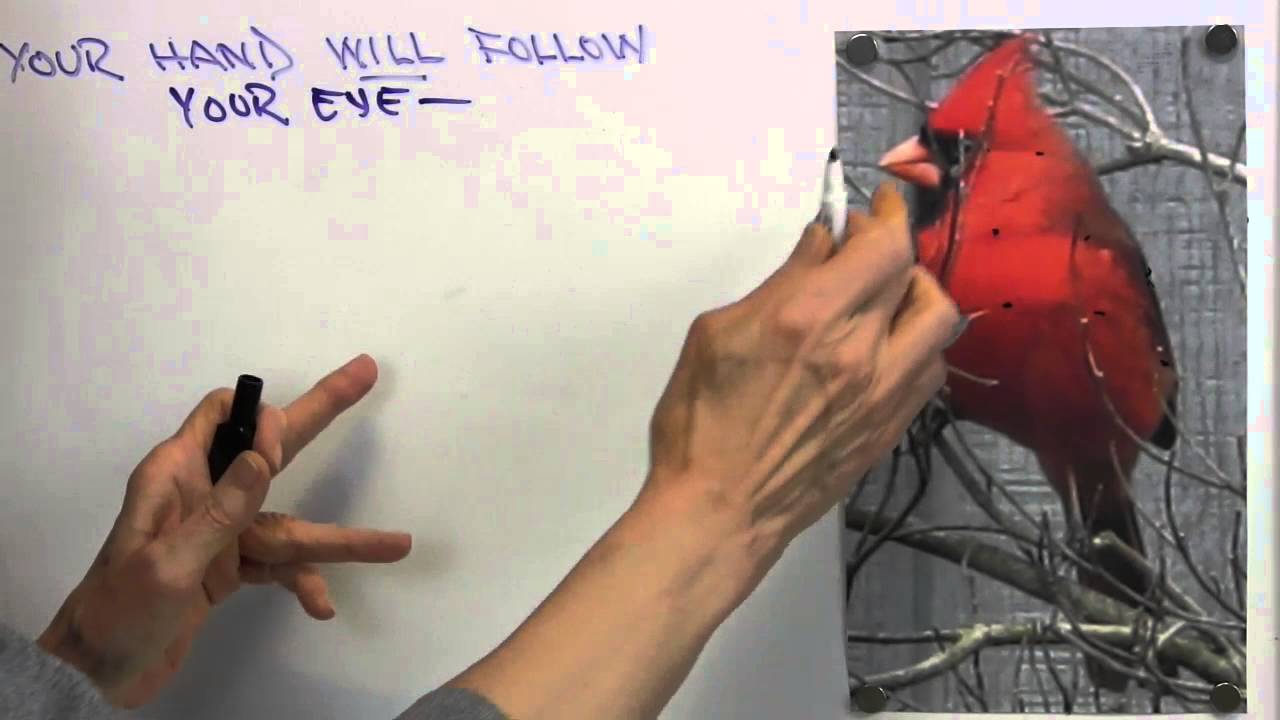 Quick Tip 43 - Basic Drawing (Eye -- Hand) - YouTube