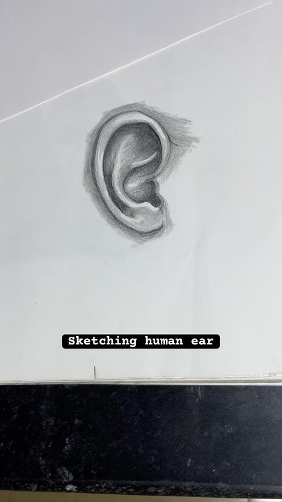 Sketching human ear #art #drawing #sketch #drawingtutorial #earsketch ...
