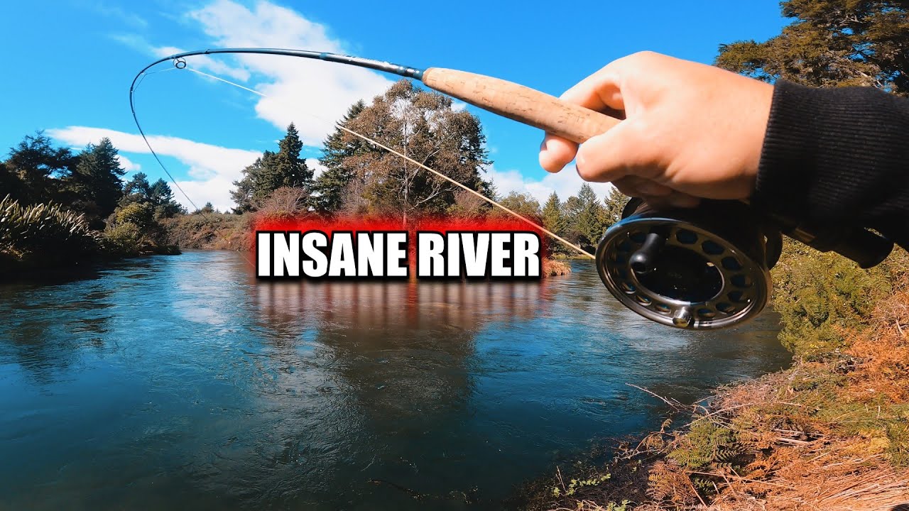 This River is INSANE, Always BIG Fresh CRAZY Trout | NZ - YouTube