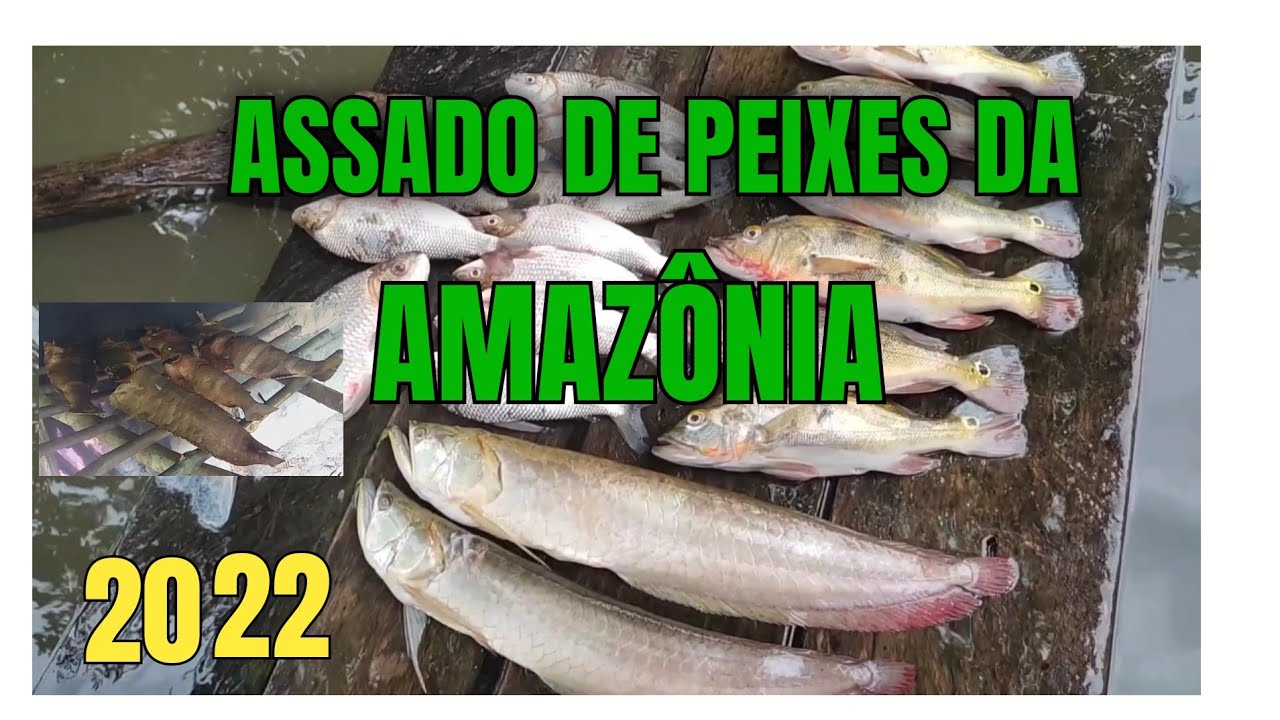 😱😱[INCRÍVEL ]ARUANÃ/TUCUNARÉ ASSADO NA BOCA DO FORNO FAZENDO FARINHA 😋😋 ...
