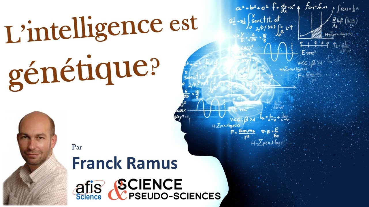 Intelligence (5/8) : L'intelligence est génétique ? - YouTube