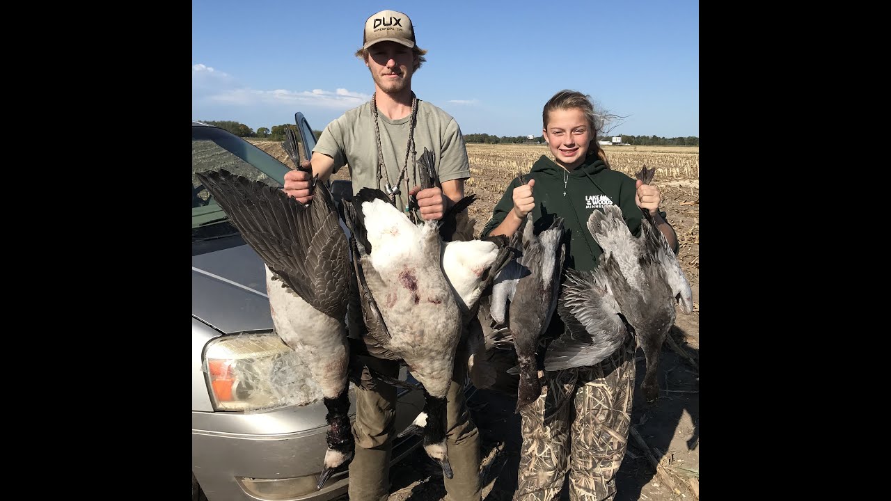 I shot blue geese while goose hunting in Minnesota! - YouTube