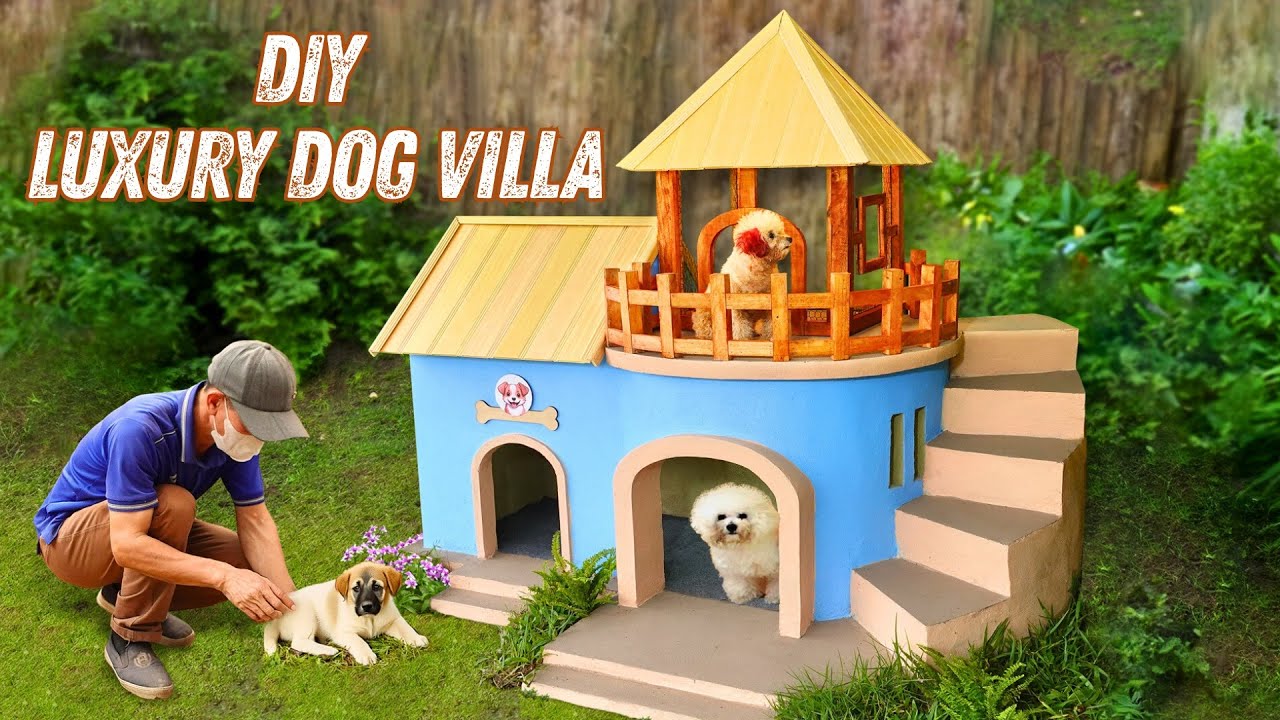 Self-build luxury dog villa for dogs - YouTube