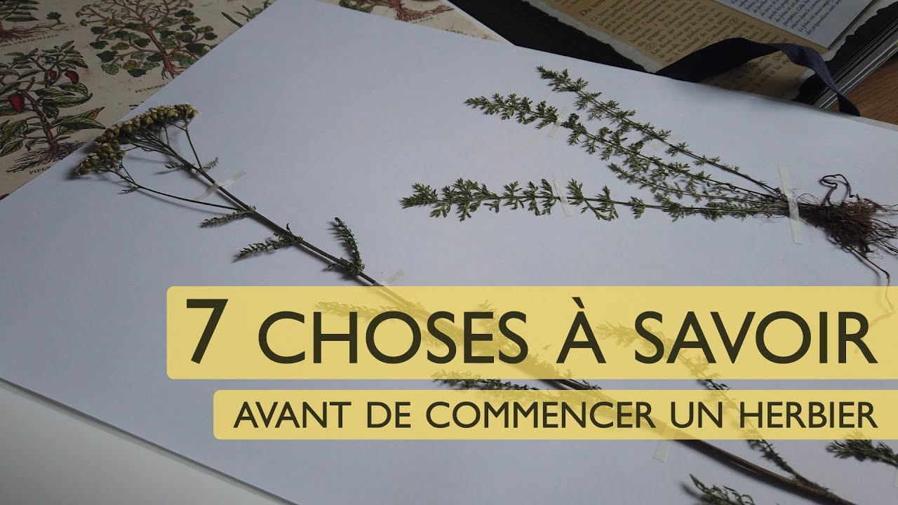 HERBIERS #4 - 7 choses à savoir avant de commencer un herbier - YouTube