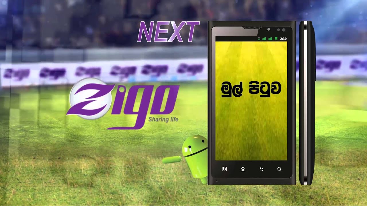 Sistema Zigo Youtube