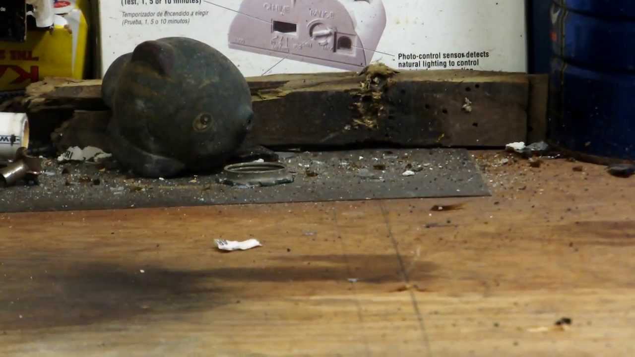 .36 Caliber Black Powder Mini Cannon Firing 3f Black Powder - YouTube