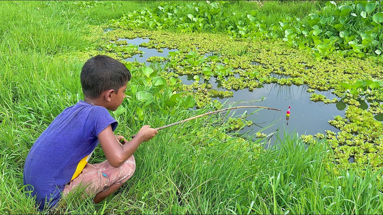 Best Fishing Vide ️|| catching koi fish by rod ~ Traditional hook ...