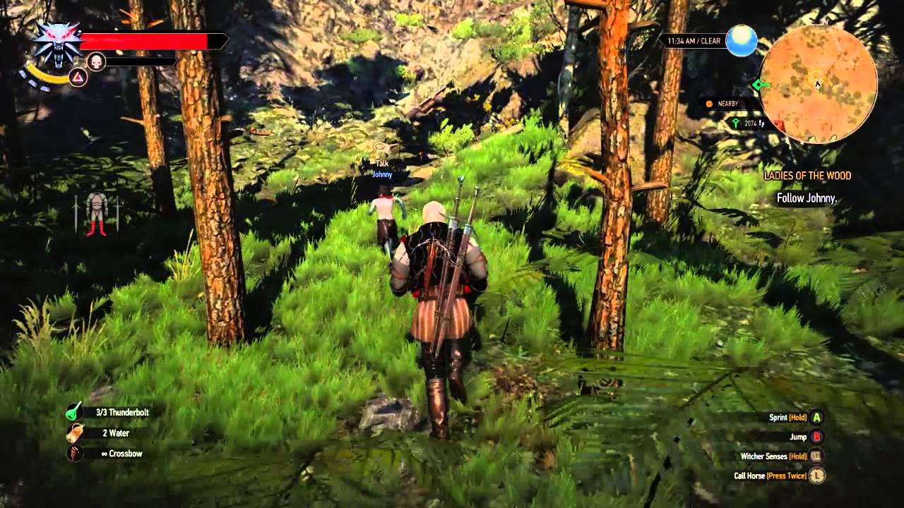 The Witcher 3: Helping Johnny the Godling get his voice back - YouTube