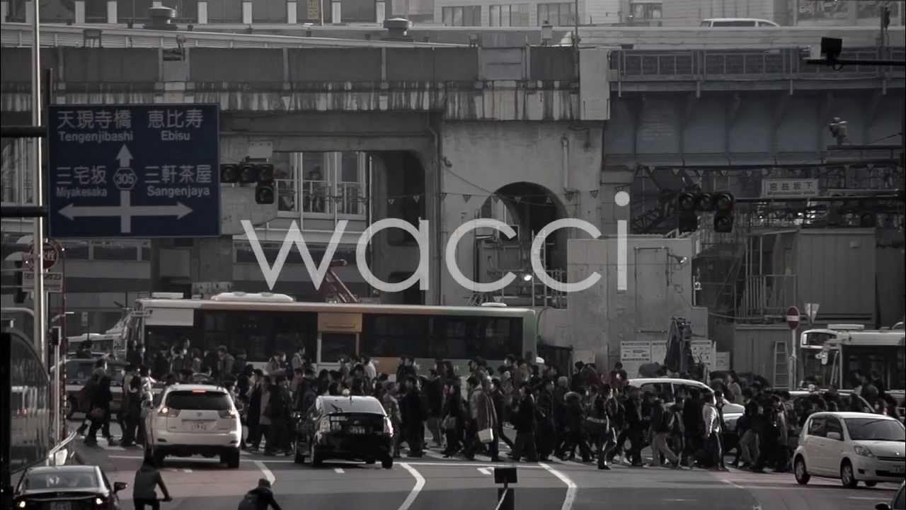 wacci 『東京MV+TV SPOT』 - YouTube Music