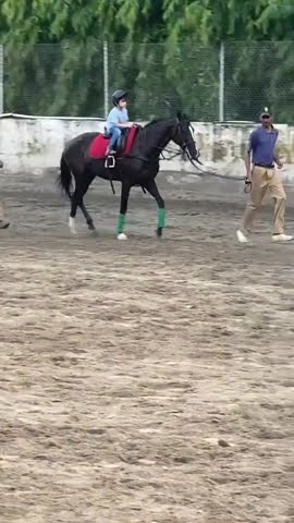 Musa Horse Riding 🐎 #lahorepoloclub# Summer vibes#(1) - YouTube