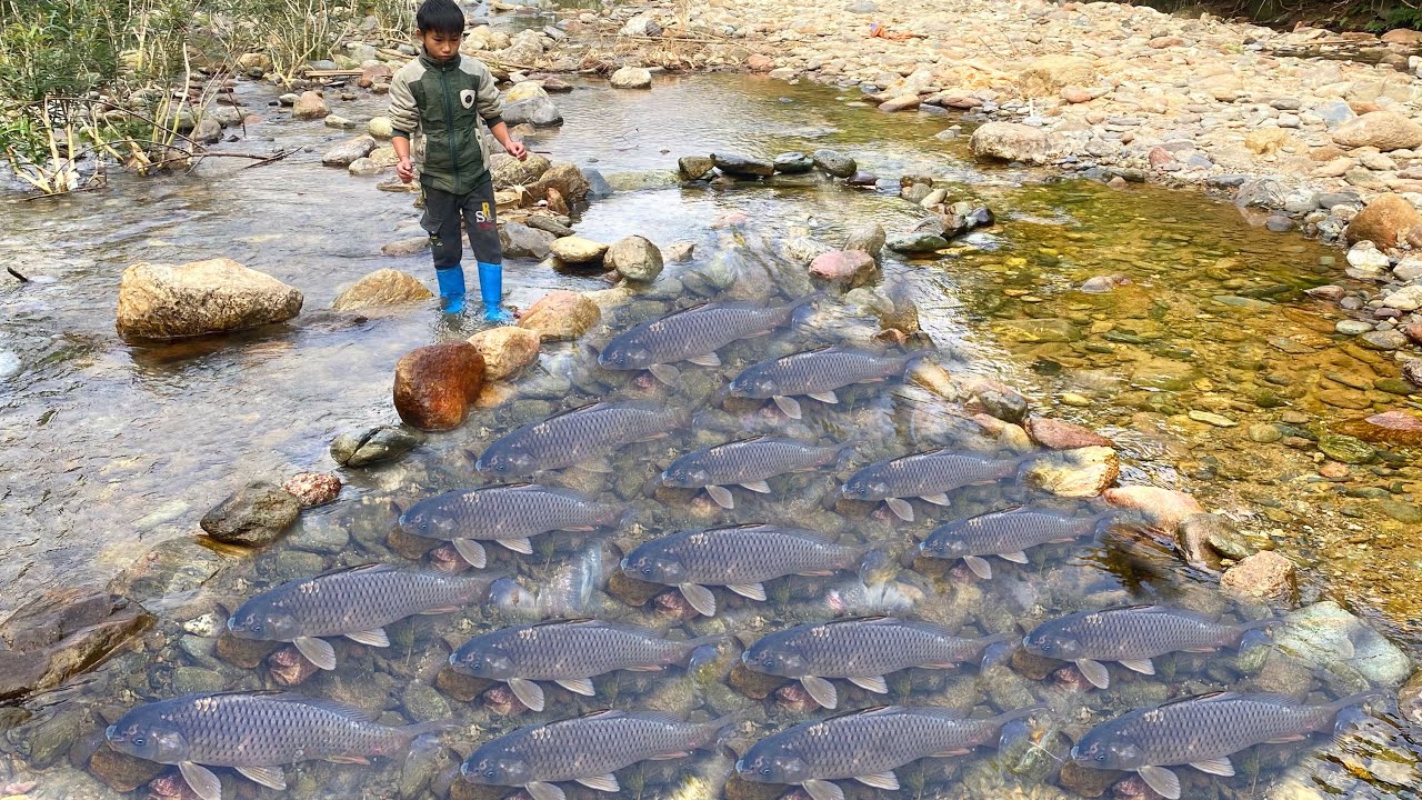 How to Catch/Trap Fish Simply to Understand High Results/100kg of fish ...