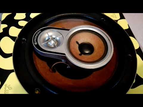 Pioneer TS168 vintage eski seri efsane ece seckin sayin seyirciler bass test