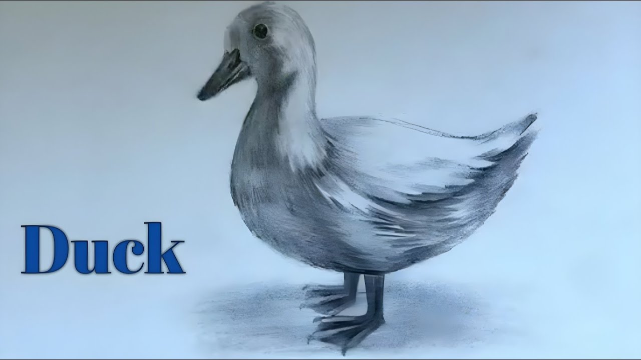 How to Draw a Cute Duck Easily | Pencil sketch | Beautiful Duck Drawing ...