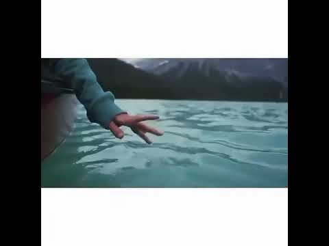 Whatsapp  üçün video