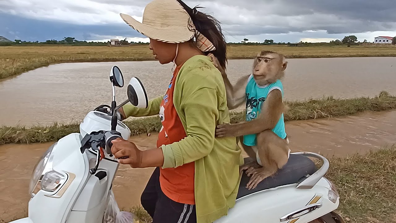 Adorable Kako Happy Small Trip At Field To Get Fresh Air - YouTube