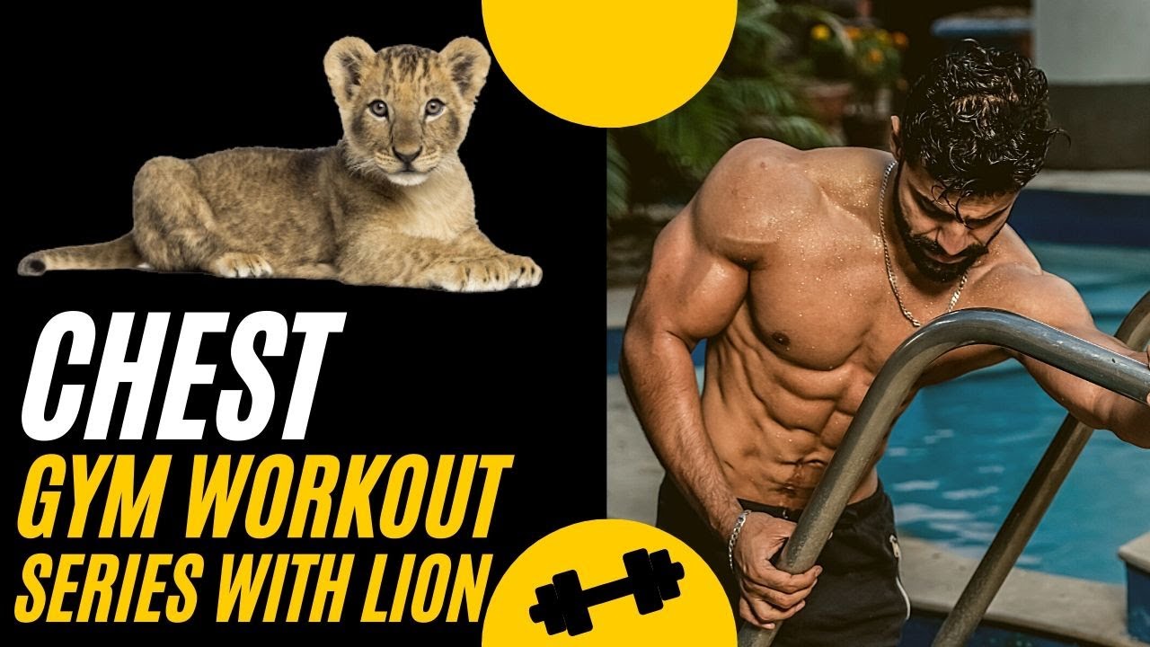 Complete Chest Workout with a Lion - Sets And Reps Included - YouTube