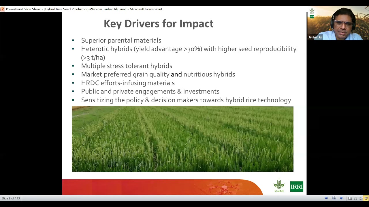 Hybrid Rice Seed Production Webinar - YouTube