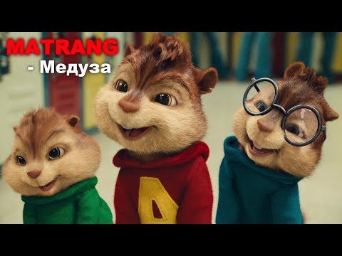 Бурундуки поют MATRANG - Медуза