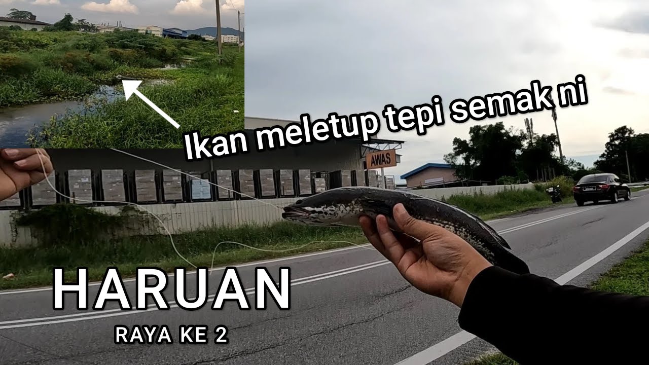 PUSING² MENCARI SPOT BARU BERSAMA KENALAN BARU | HARUAN SIZE PADU ...