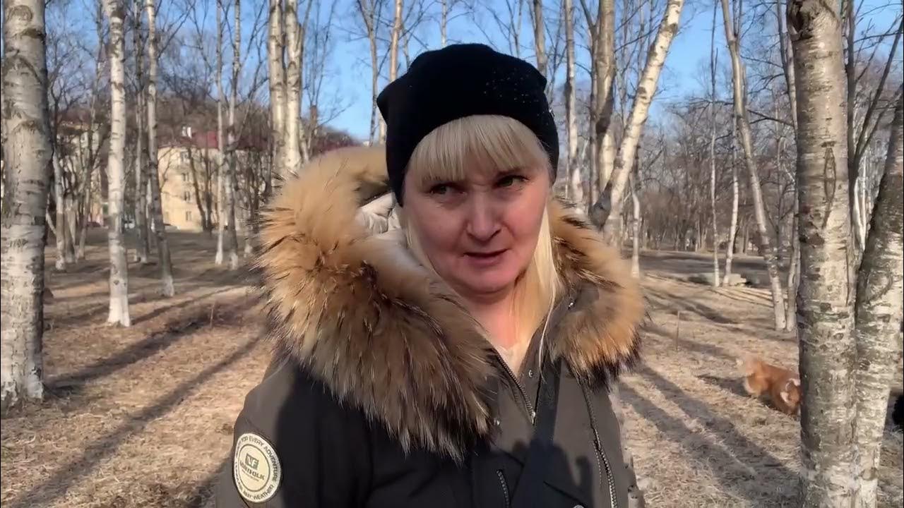 В Находке ради благоустройства вырубают березовую рощу Youtube