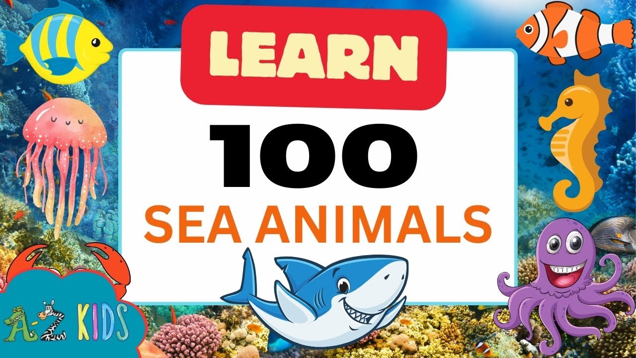 100 Sea Animals - Learn the Names of 100 Aquatic Animals - YouTube
