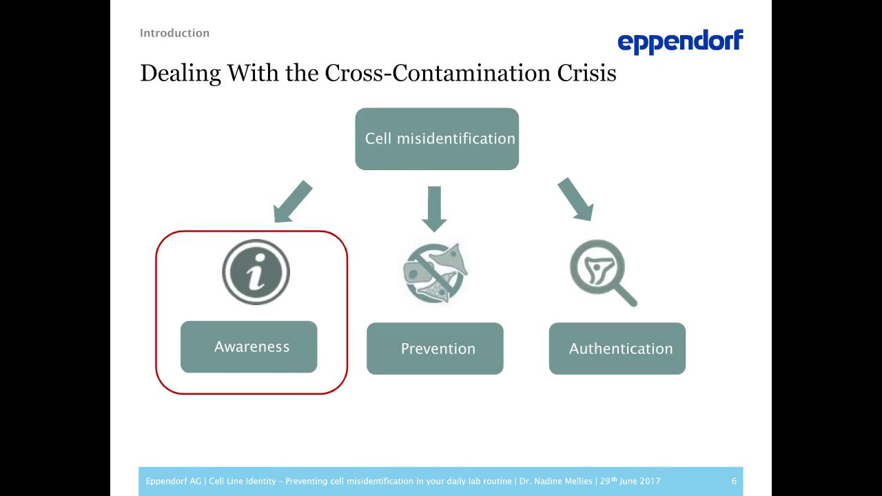 Nadine Mellies - Cell line identity - Preventing cell misidentification ...