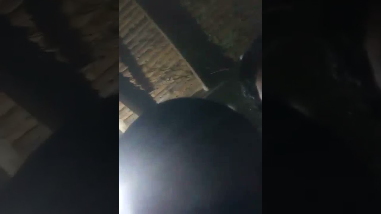 qertyyoppafjkl h. nnnnnb-'! don't joy bum FYI communism IP 9 ...