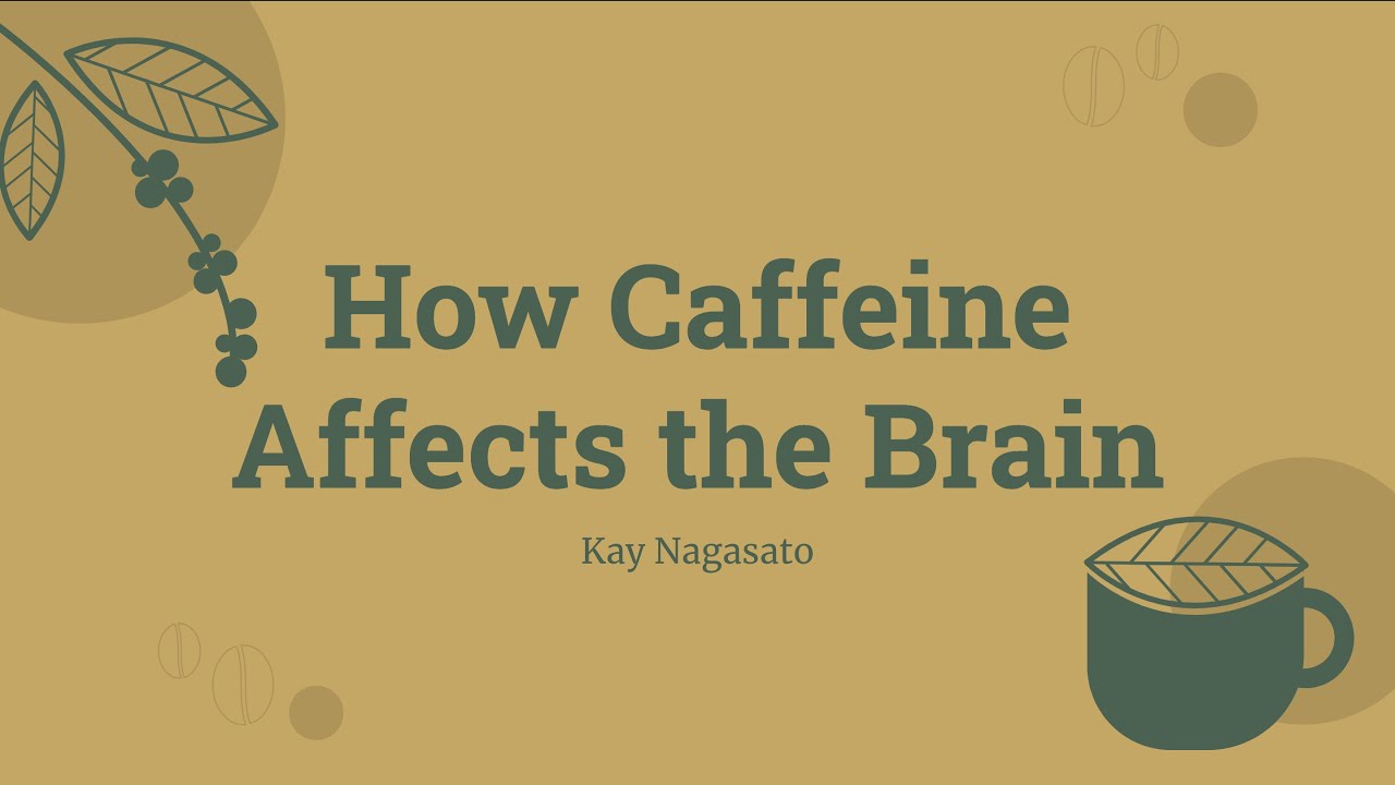 How Does Caffeine Affect the Brain? - YouTube