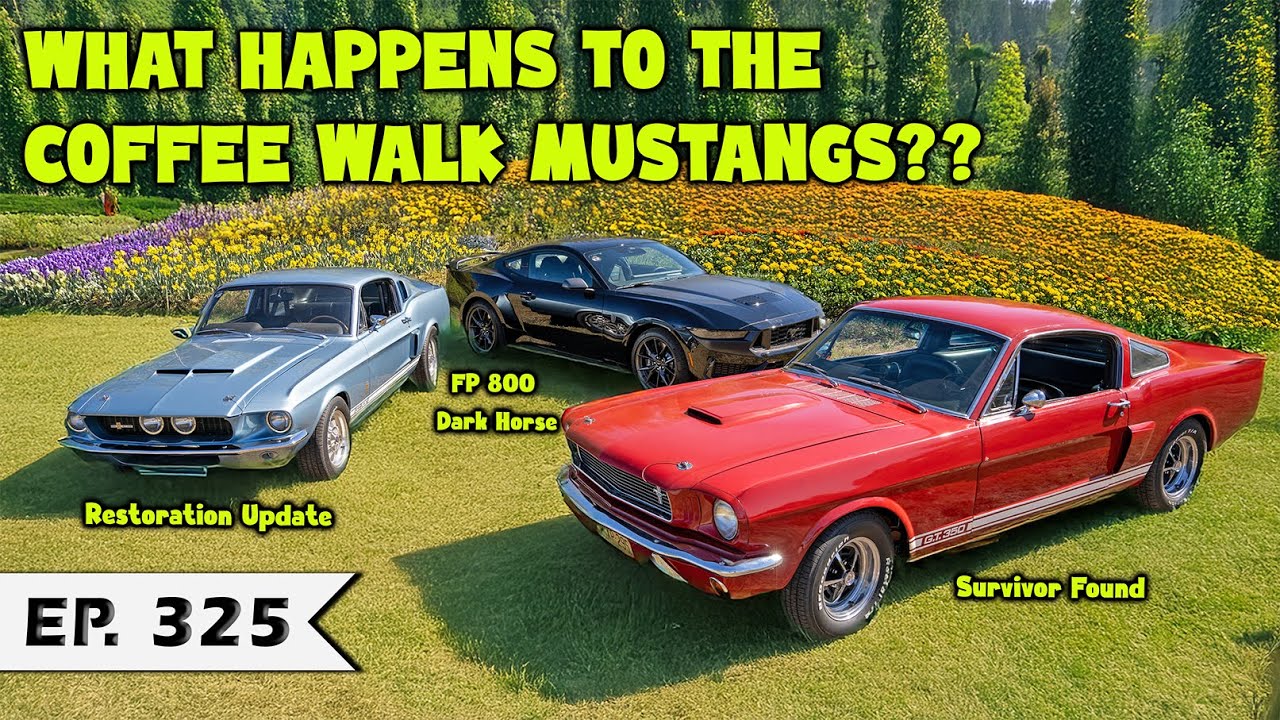 What Happens to the Coffee Walk Mustangs?? - YouTube
