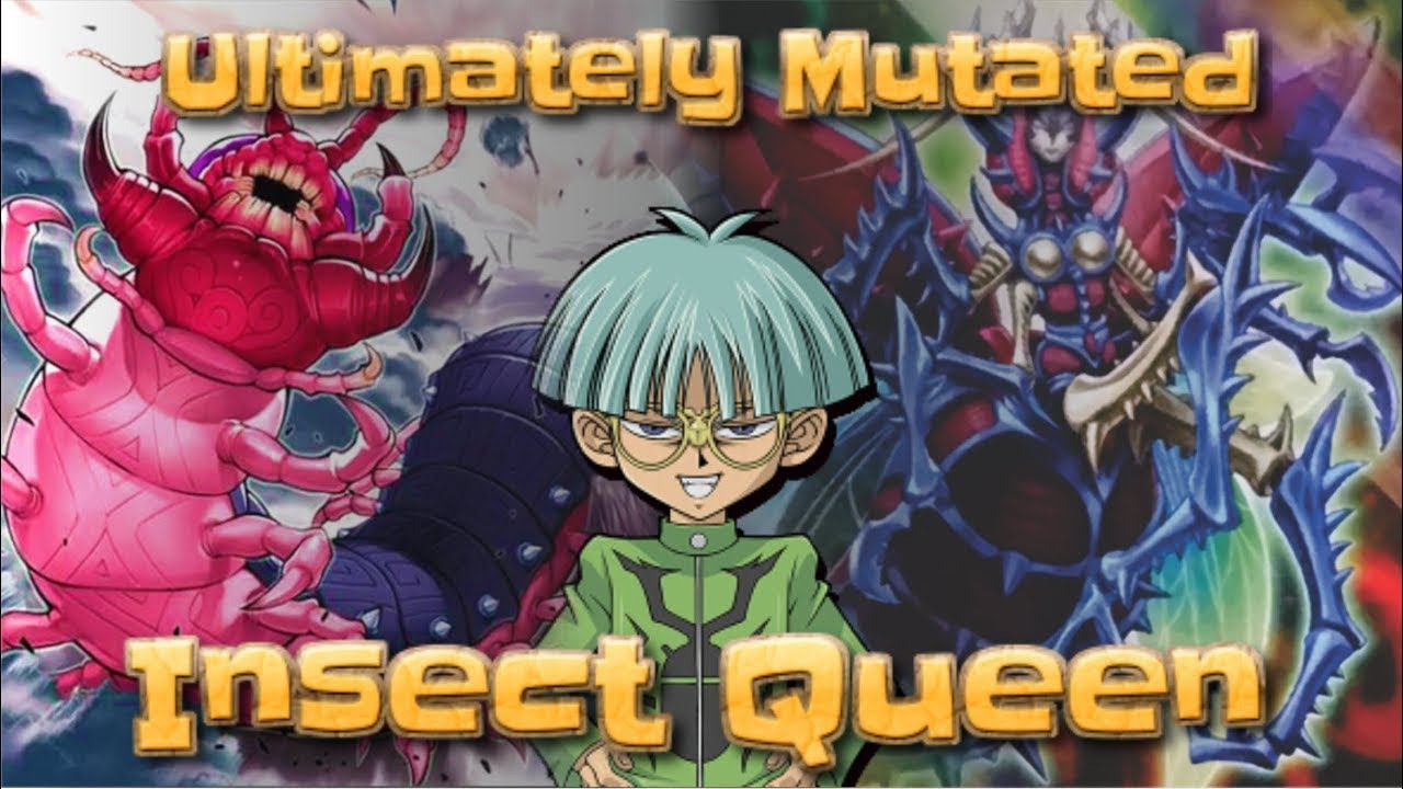 Perfectly Ultimate Great Moth Deck Profile February 2020 - YouTube