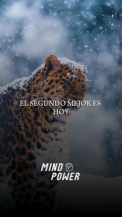 ¿QUE QUIERES SER EN EL FUTURO? #motivacion #desarrollopersonal # ...