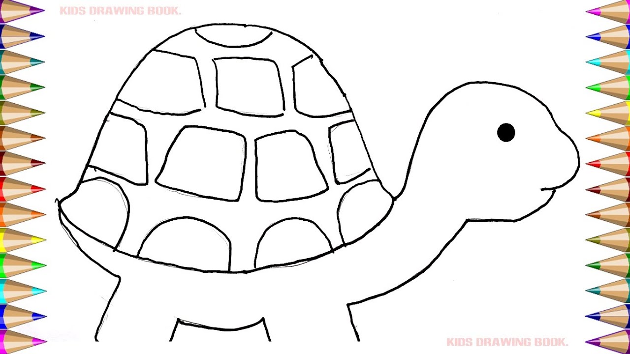 KIDS DRAWING BOOK! SIMPLE TURTLE DRAWING FOR KIDS ! HD NEW 2019 - YouTube