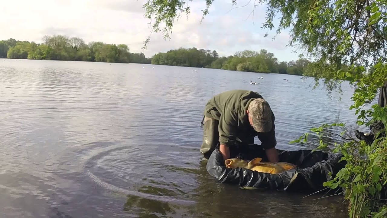 Dave Lane Carp Blog - Dave Lane Lands a brace of thirties at Burghfield ...