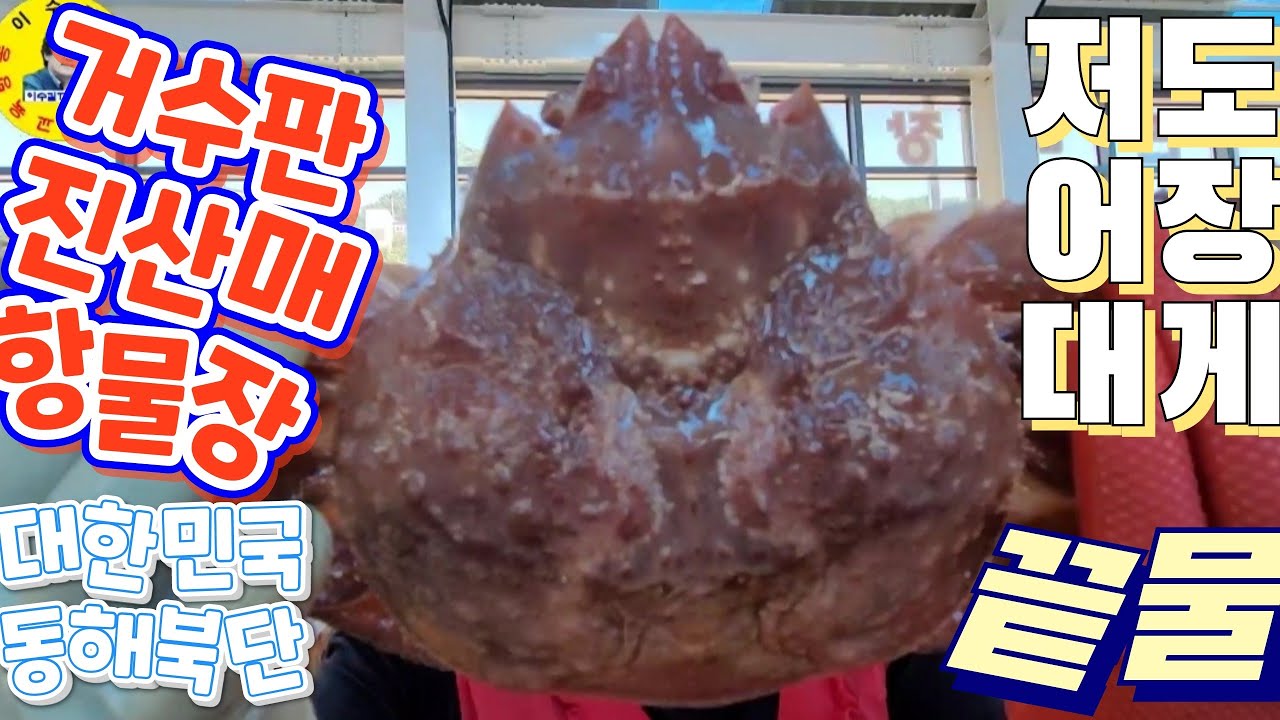 거진항 수산물 판매장 시세 최신정보 견문록 모조리 공개♡삶0968/Geojin port fish market, korea ...