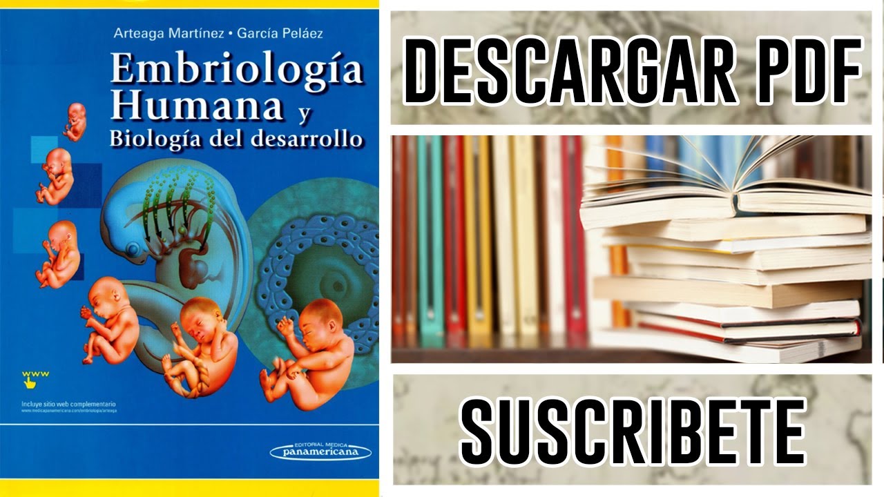 Embriología humana y biología del desarrollo descarga GRATIS EN PDF ...
