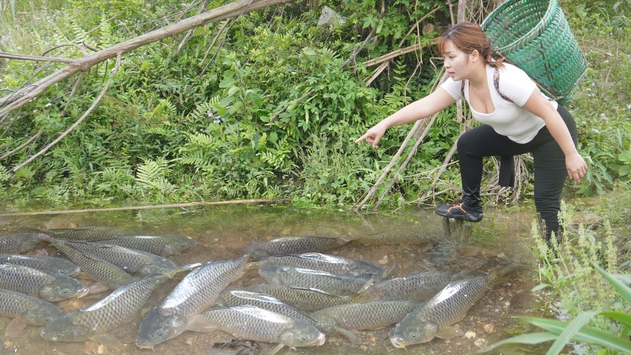 How To Fishing In The Wild, Fishing Techniques, Catch Many Big Fish ...