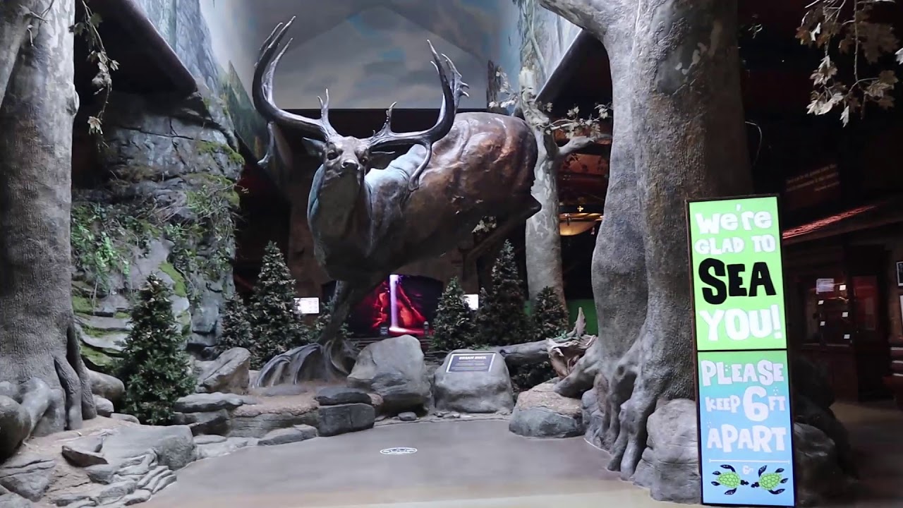 World's Oldest Bass Pro Shops - Springfield, Missouri - YouTube