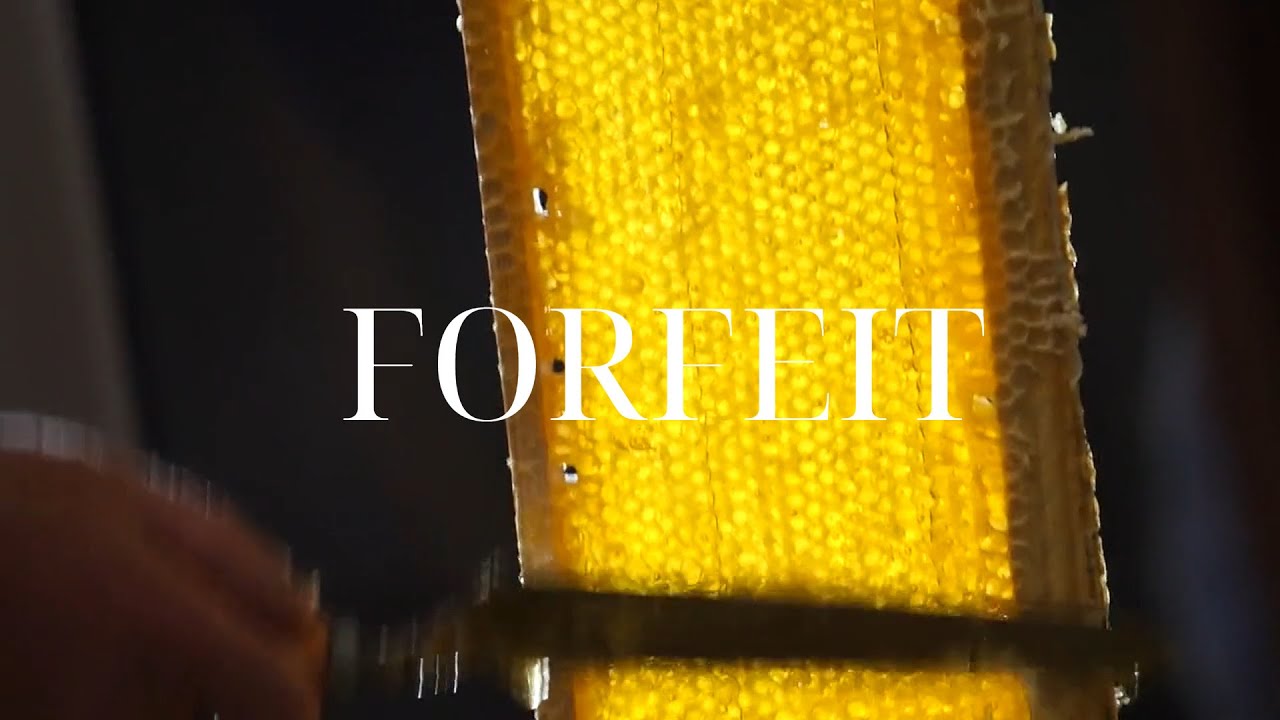 #150.FORFEIT - YouTube