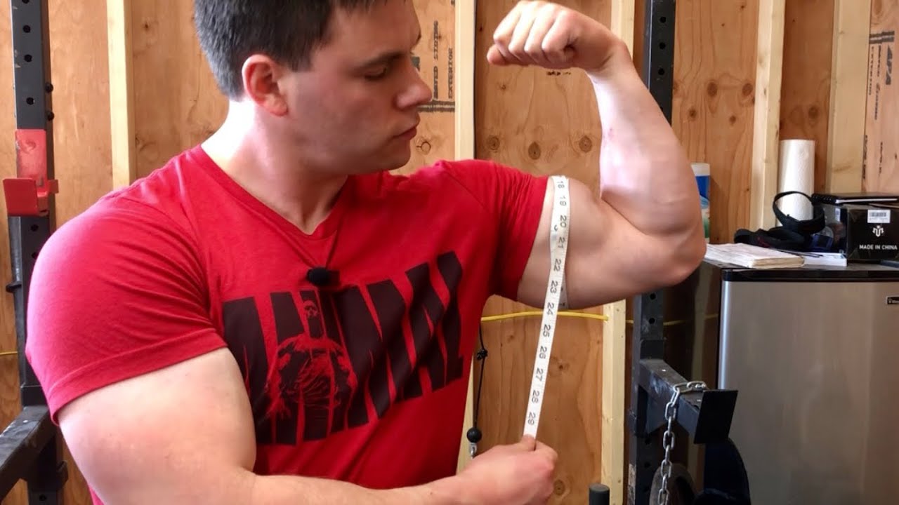 Gained 2 inches on my arms in 6 months, bulk results, day 209 natural ...
