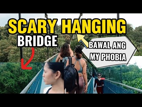 SCARY HANGING BRIDGE@MACRITCHIE NATURE PARK SINGAPORE - YouTube