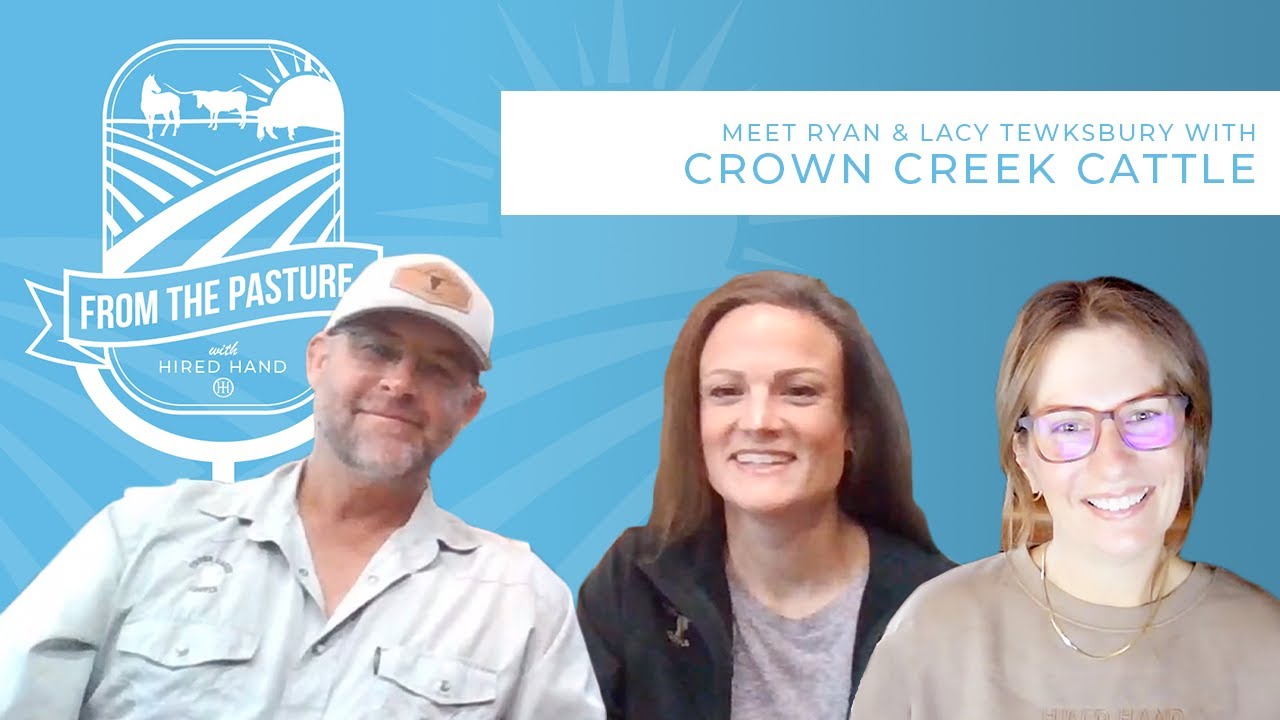 Crown Creek Cattle: From the Pasture with Hired Hand - YouTube