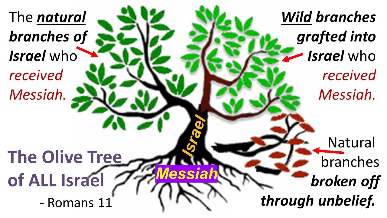 Being Grafted Into Israel Scott Harwell Part 1 - YouTube