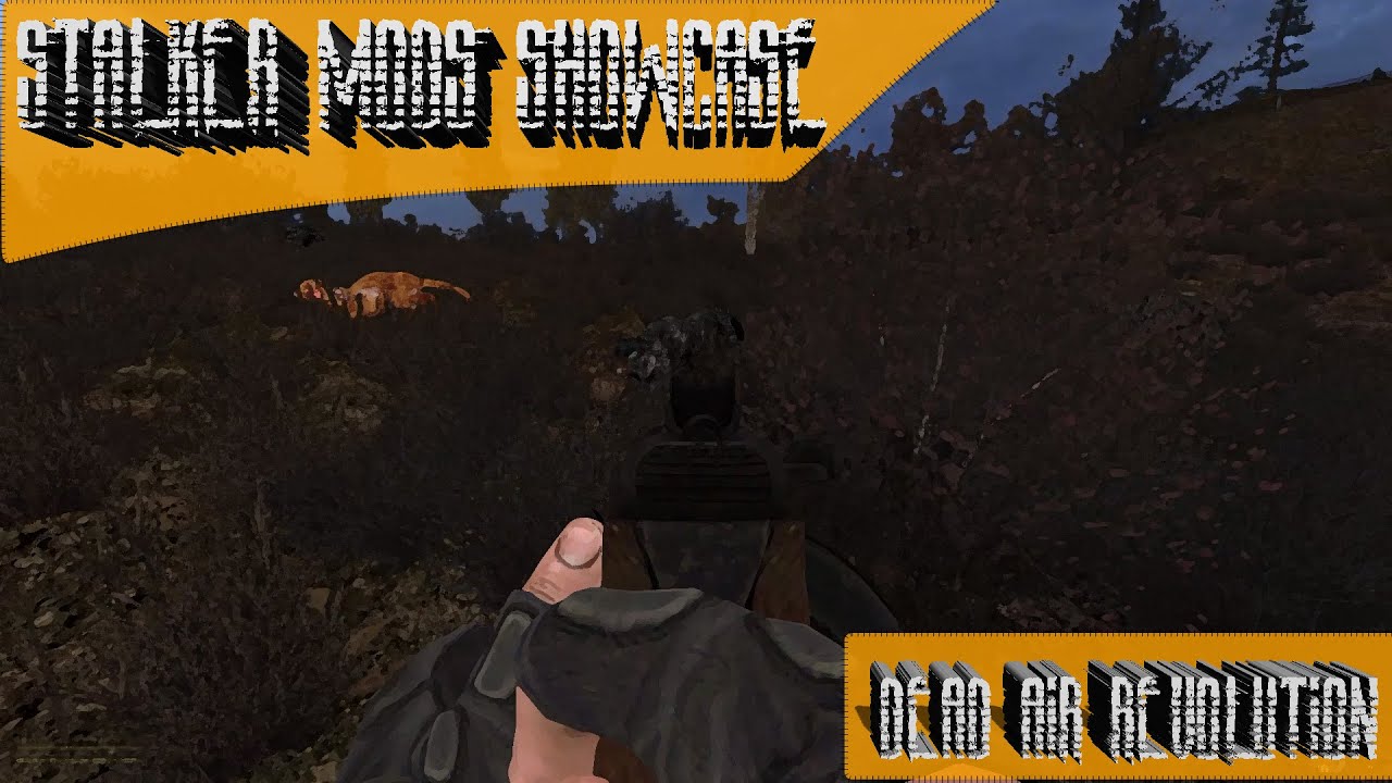 Stalker Mods Showcase 147 - Dead Air Revolution - YouTube