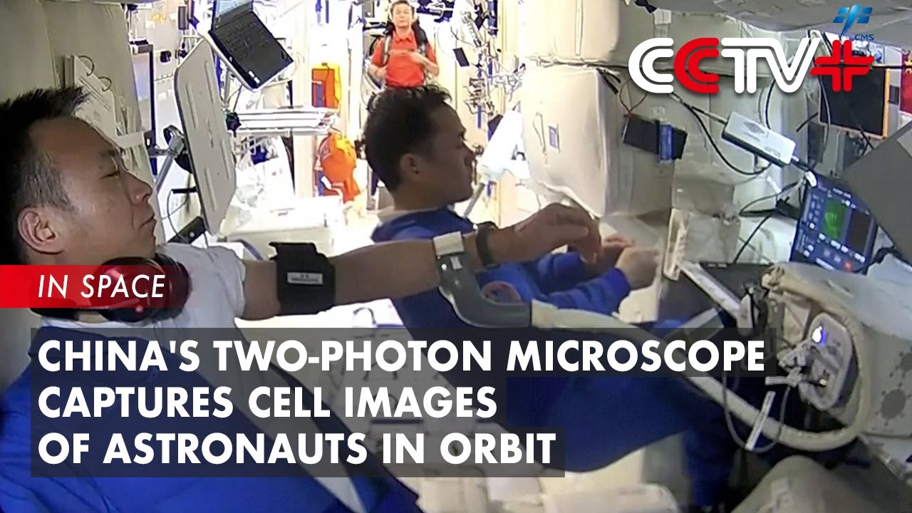 China's Two-photon Microscope Captures Cell Images of Astronauts in ...