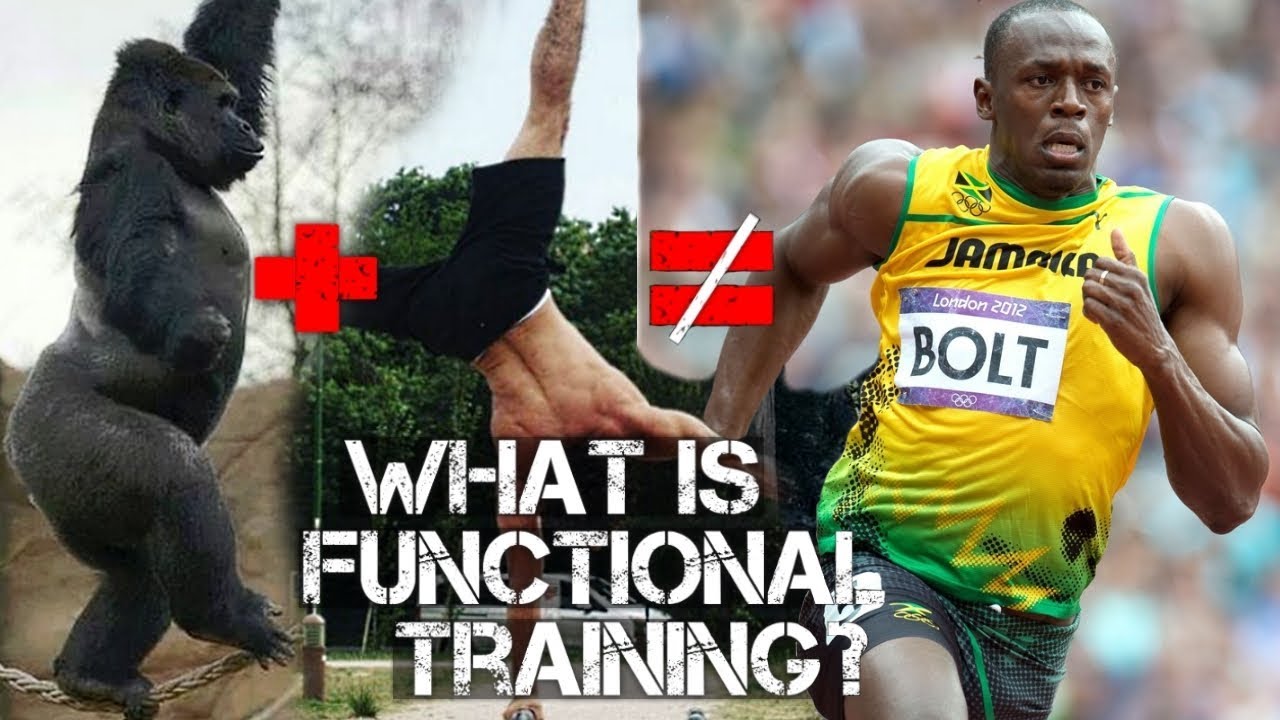 What Is Functional Training YouTube What Is Functional Training YouTube