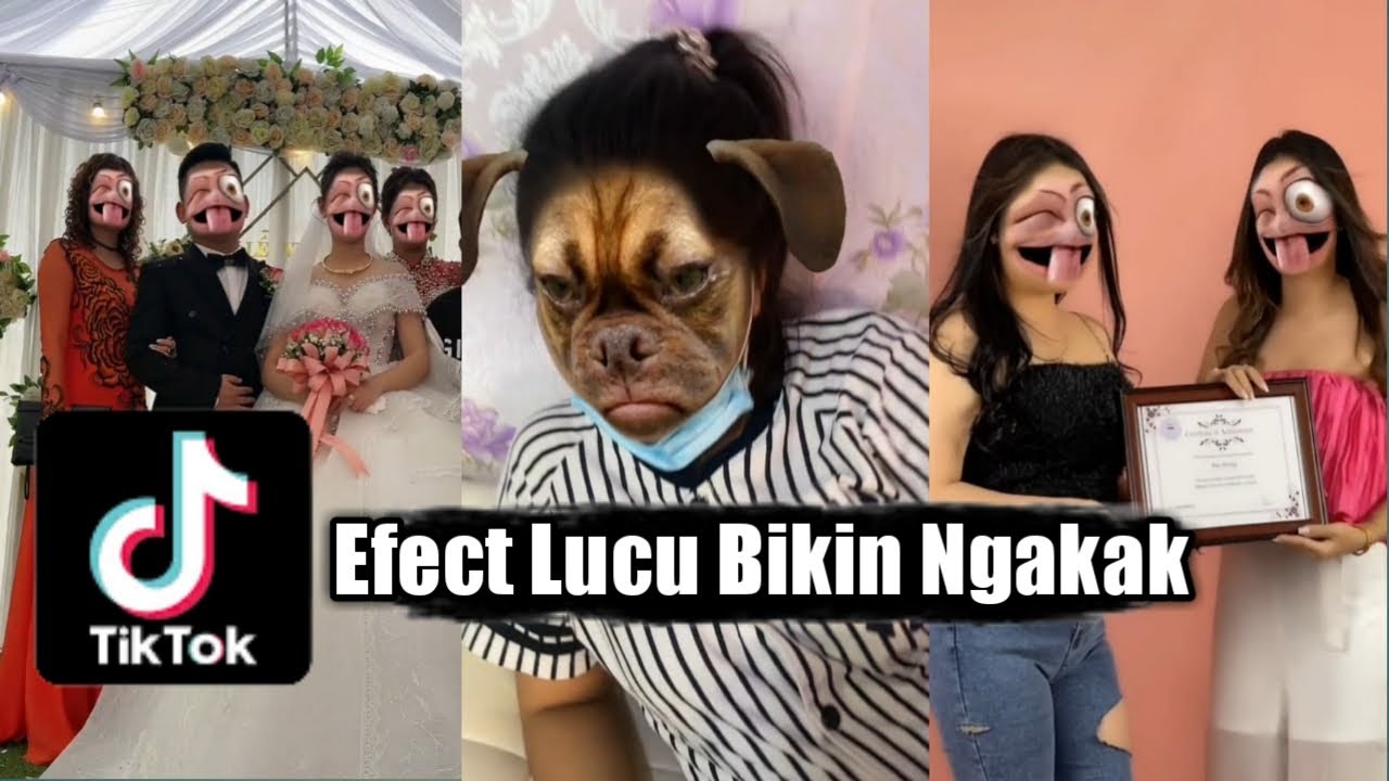 Kumpulan Filter Lucu Bikin Ngakak TikTok - YouTube