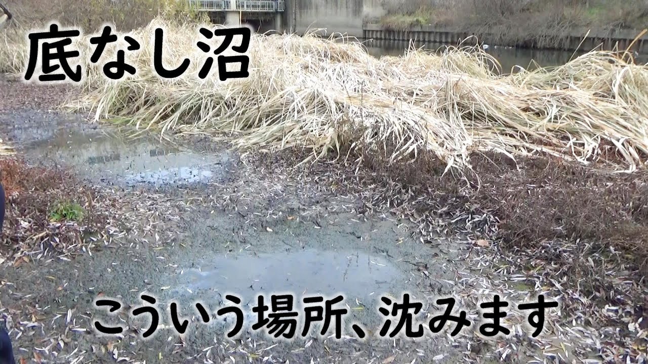 助けに来た母さんも沈む、底なし沼～抜け出す方法（一例） Youtube