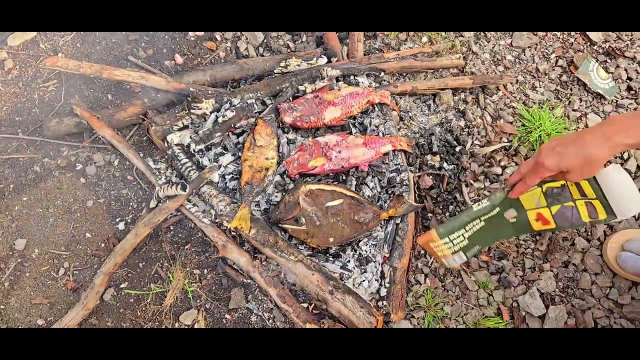 BBQING Fish on open fire 🔥 - YouTube